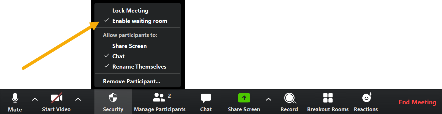 Recommended Zoom meeting security settings - IT Teaching Resources